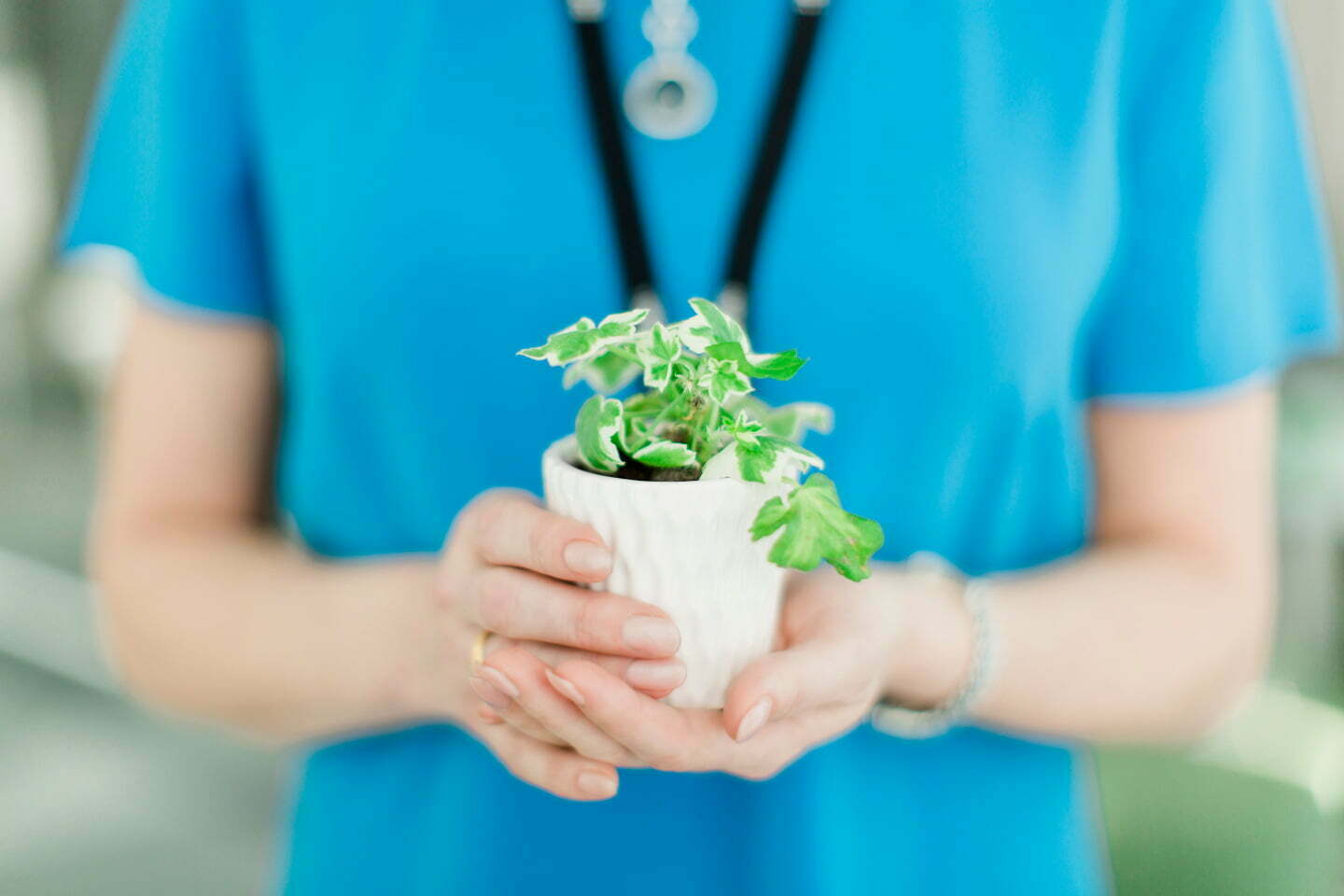 Nomination committee - Ambea